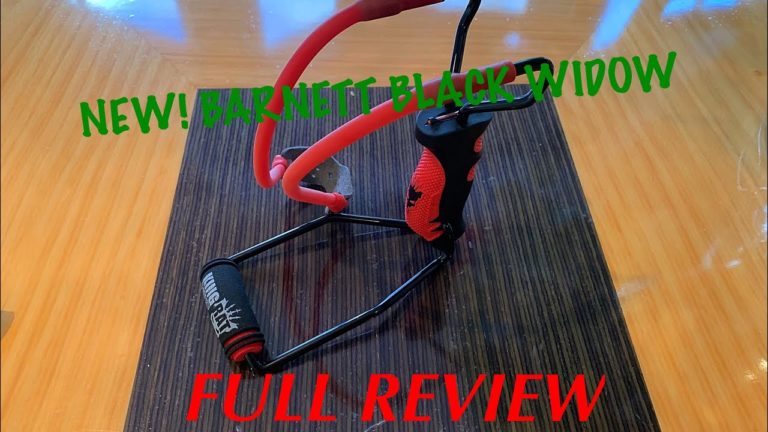 Asa Wilson - Slingshot World